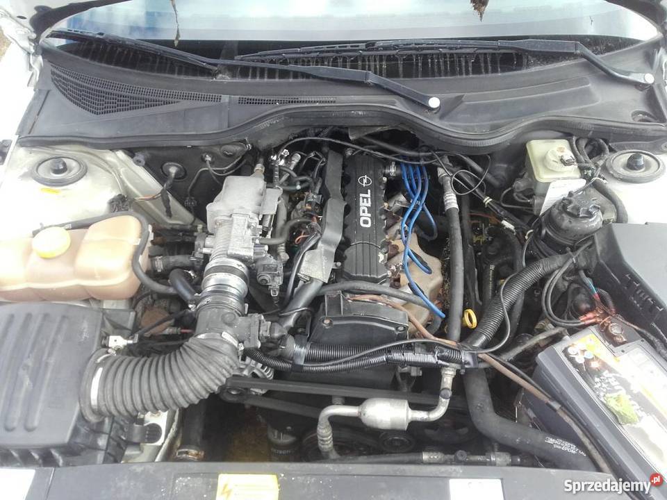 Opel Omega B Kombi 2.0 8V LPG 1997r. Grajewo - Sprzedajemy.pl