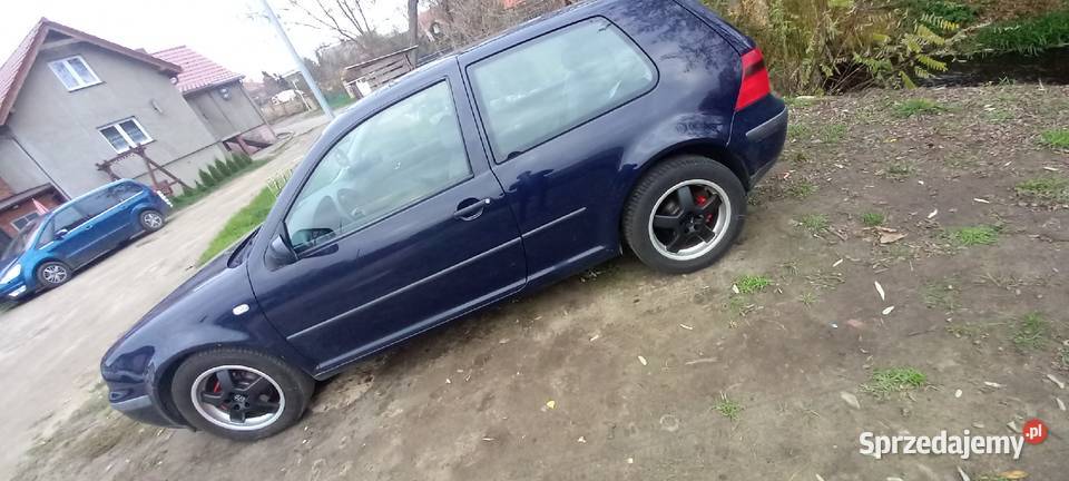 Sprzedam golfa 1.4 benzyna 1999 rok ocynk Dobiegniew - Sprzedajemy.pl