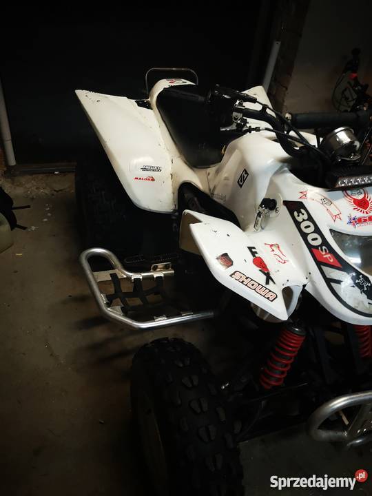Quad Adly AXR 300 SP Białystok - Sprzedajemy.pl