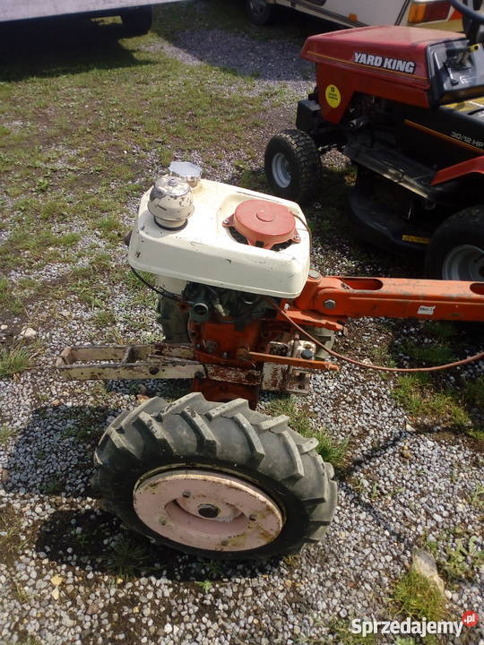 Traktor Jednoosiowy Terra Vari Dzik Przedbórz - Sprzedajemy.pl