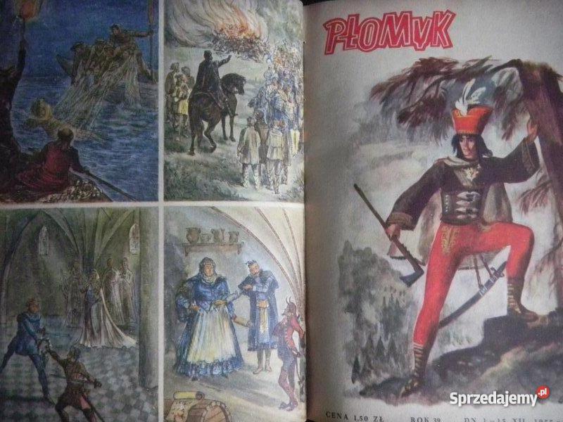 Płomyk / Płomyczek / Świerszczyk > 100 numerów! - Sprzedajemy.pl