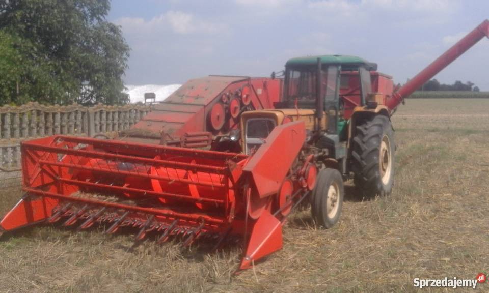 Bizon z020 Sierzchów - Sprzedajemy.pl