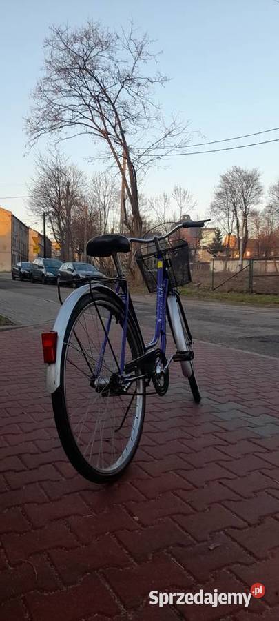 Rower miejski Arcit bike DYNAMO/SPRAWNY Zabrze - Sprzedajemy.pl