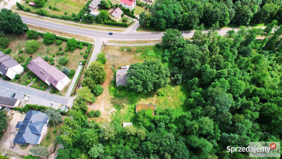 Oferta sprzedaży gruntu Nisko 5934m2 - Sprzedajemy.pl