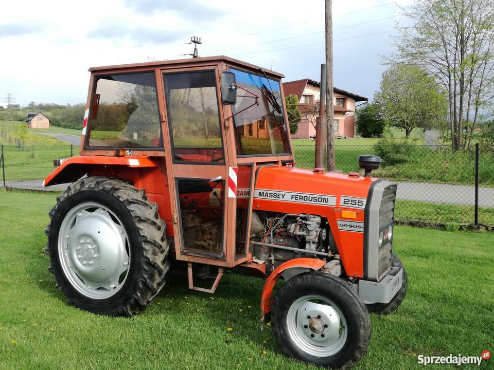 Ursus MF 255 Kowale - Sprzedajemy.pl