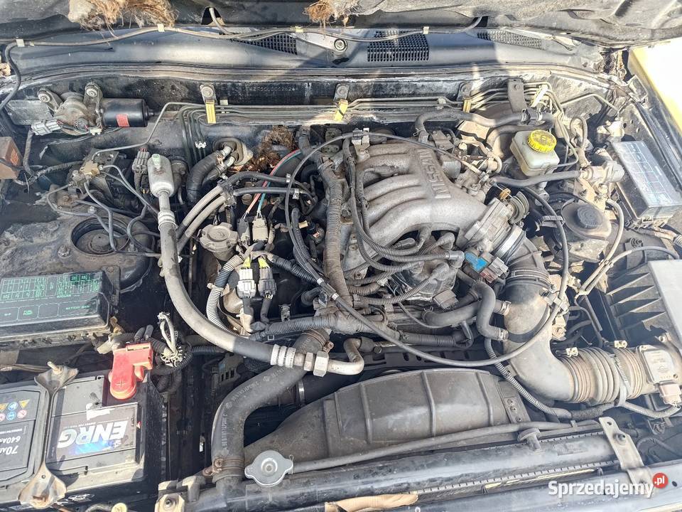 Nissan Pathfinder R50 offroad raptor 32 cale patrol Rakowice Małe ...