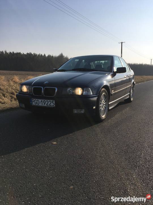 Bmw e36 330i 231hp individual Plewiska - Sprzedajemy.pl