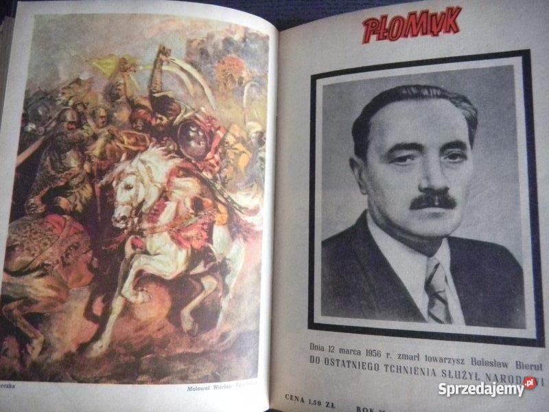 Płomyk / Płomyczek / Świerszczyk > 100 numerów! - Sprzedajemy.pl