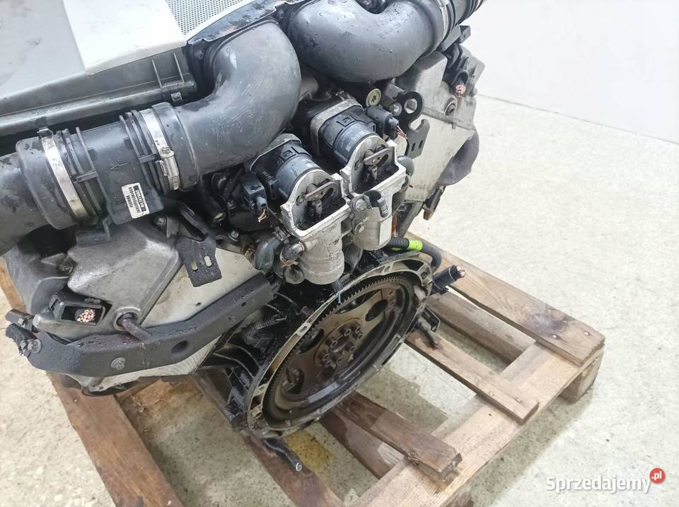 SILNIK KOMPLETNY DIESEL 4.0 CDI V8 Mercedes-Benz S-klasa IV W220 ...