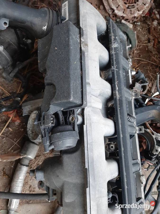 Kolektor ssacy bmw e46 330i Świerkówki - Sprzedajemy.pl Kolektor ssacy bmw e46 330i Świerkówki - Sprzedajemy.pl