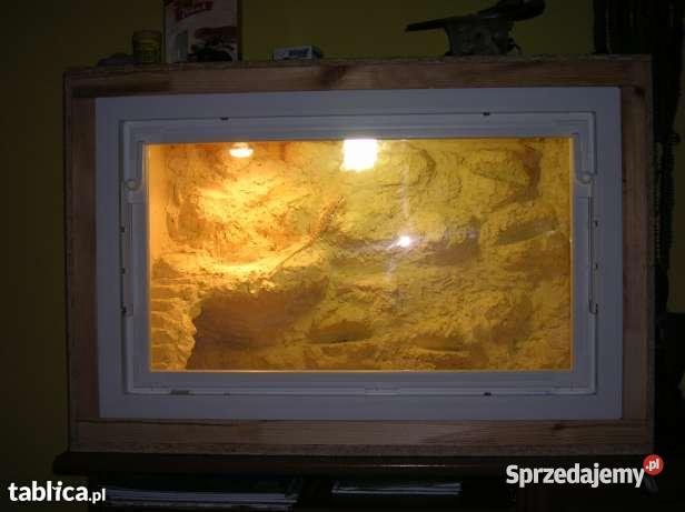 TERRARIUM+agama brodata - Sprzedajemy.pl