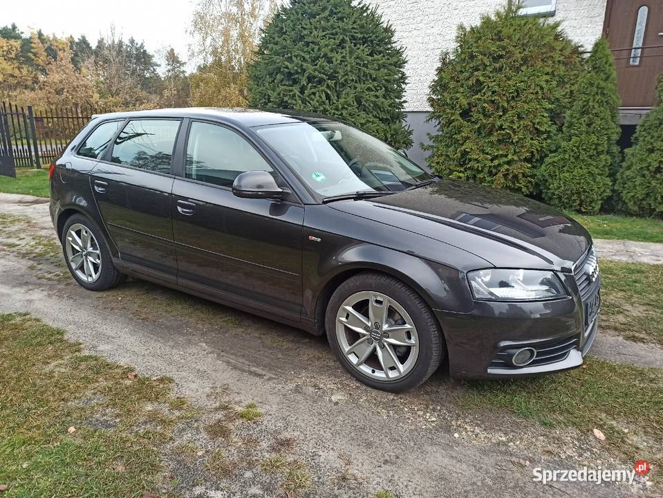 Audi A3 1.6 102 KM S-Line, Oryginalny lakier, Super Stan Bełchatów ...