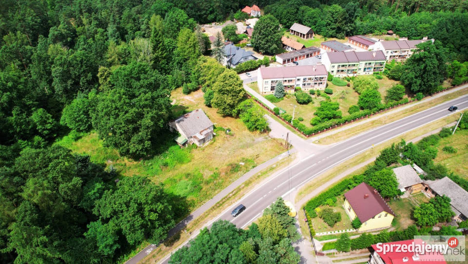 Oferta sprzedaży gruntu Nisko 5934m2 - Sprzedajemy.pl