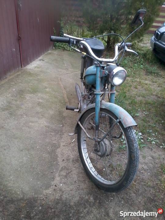 komar 3 z papierami +drugi na częsci Biały Zdrój - Sprzedajemy.pl