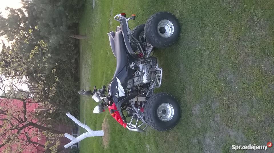 Quad Bashan 200cc stan bdb Pakość - Sprzedajemy.pl