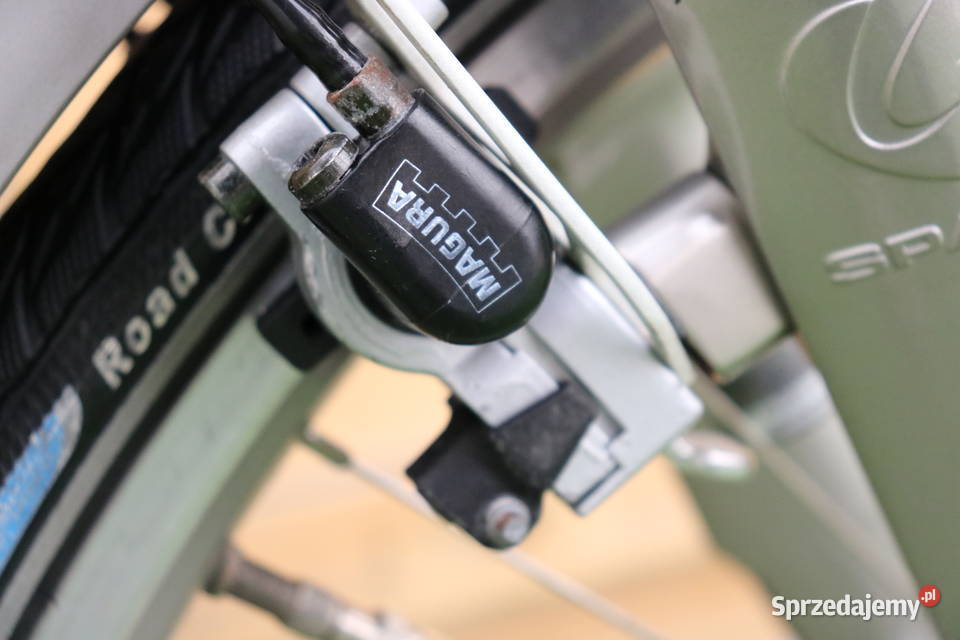 Rower elektryczny Sparta ION GLS D 53 I inne rowery z Holand Milanówek ...