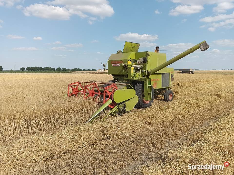 Kombajn Claas Compact 30 Dominator 48 Targonie Wielkie - Sprzedajemy.pl