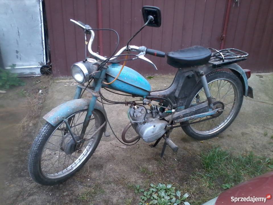 komar 3 z papierami +drugi na częsci Biały Zdrój - Sprzedajemy.pl