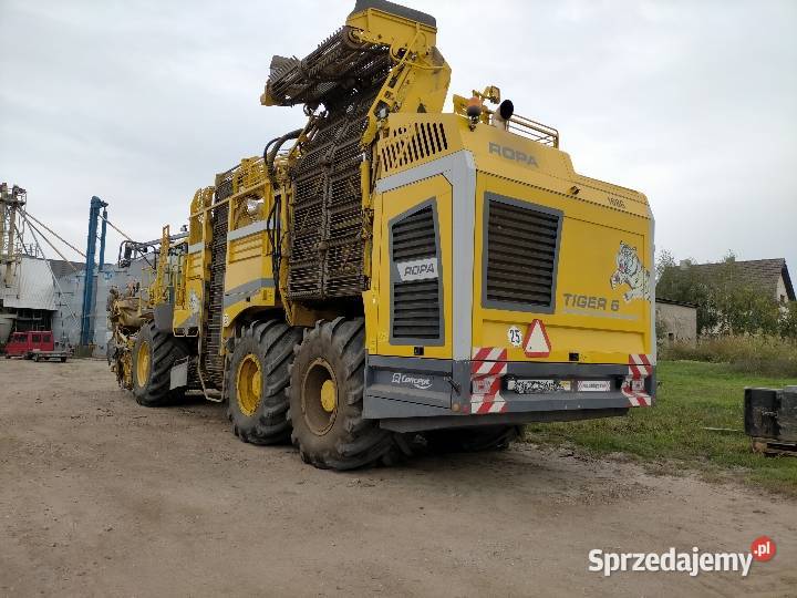 Ropa TIGER 6 Wołów - Sprzedajemy.pl