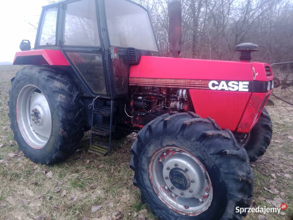 Case 1594 Łosice - Sprzedajemy.pl