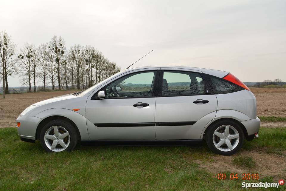 Ford Focus 100% Bezwypadkowy Kujawa - Sprzedajemy.pl