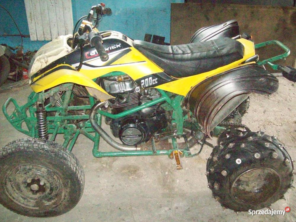 bashan - Sprzedajemy.pl