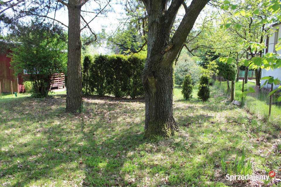 Działka R.O.D RELAX Nowosolna Łódź - Sprzedajemy.pl