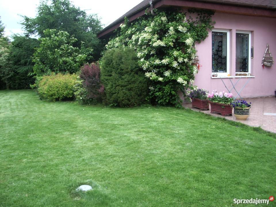 Dom z pięknym ogrodem i basenem Skierdy - Sprzedajemy.pl