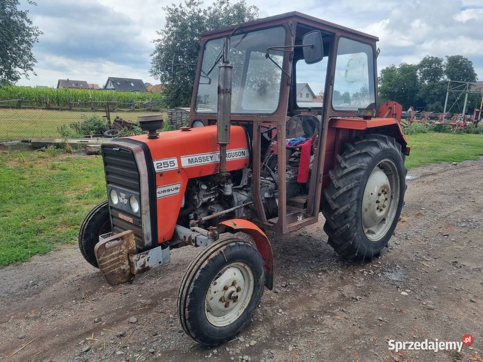 Sprzedam URSUS MF255 Grodków - Sprzedajemy.pl