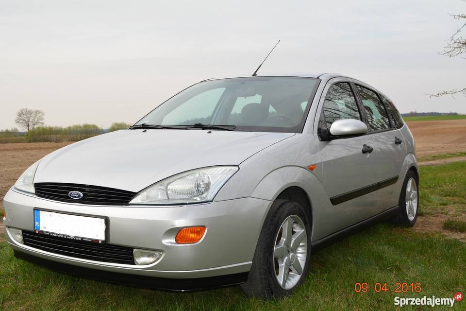 Ford Focus 100% Bezwypadkowy Kujawa - Sprzedajemy.pl