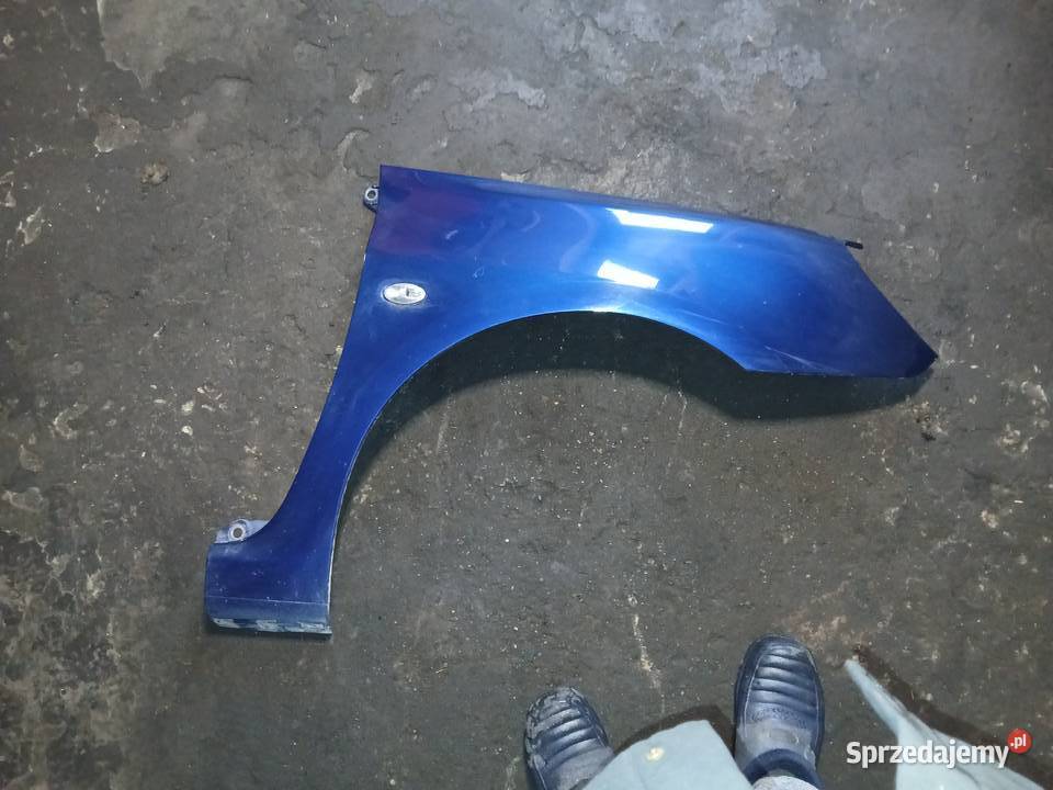 Błotnik prawy przedni Peugeot 307 lak EGED 01-04r Radłów - Sprzedajemy.pl