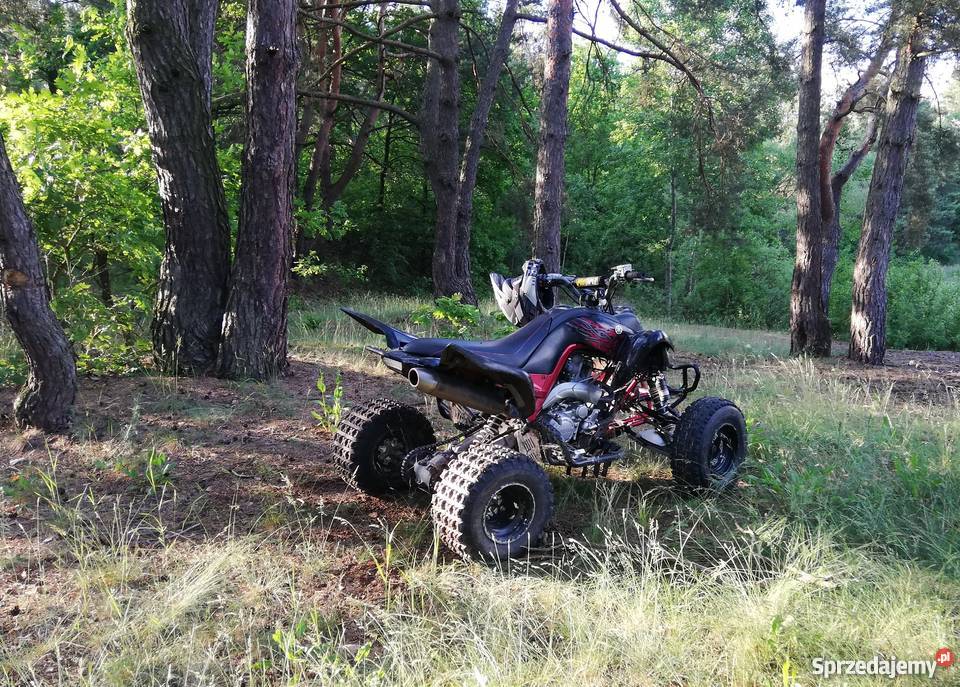 Sprzedam Yamaha Raptor Special Edition Stalowa Wola - Sprzedajemy.pl