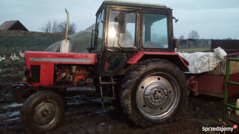 Mtz 550 Belarus Krajenka - Sprzedajemy.pl