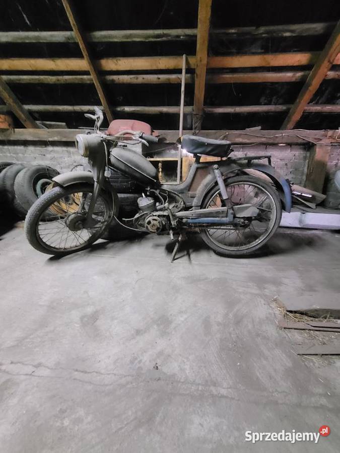 Komar Borowe - Sprzedajemy.pl