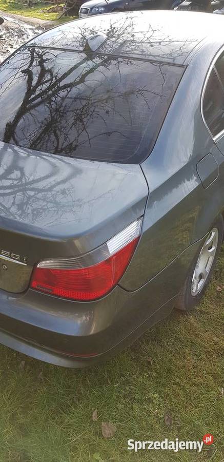 Bmw e60 520i Wólka Domaniowska - Sprzedajemy.pl
