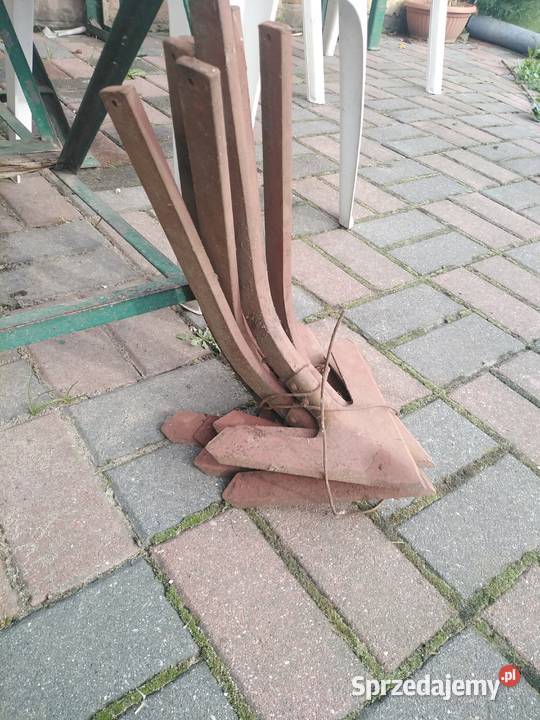 Gęsia stopka Krasnystaw - Sprzedajemy.pl