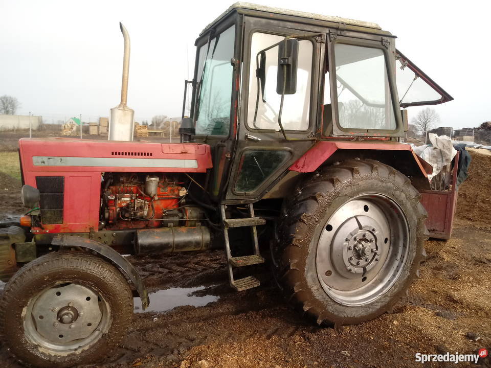Mtz 550 Belarus Krajenka - Sprzedajemy.pl