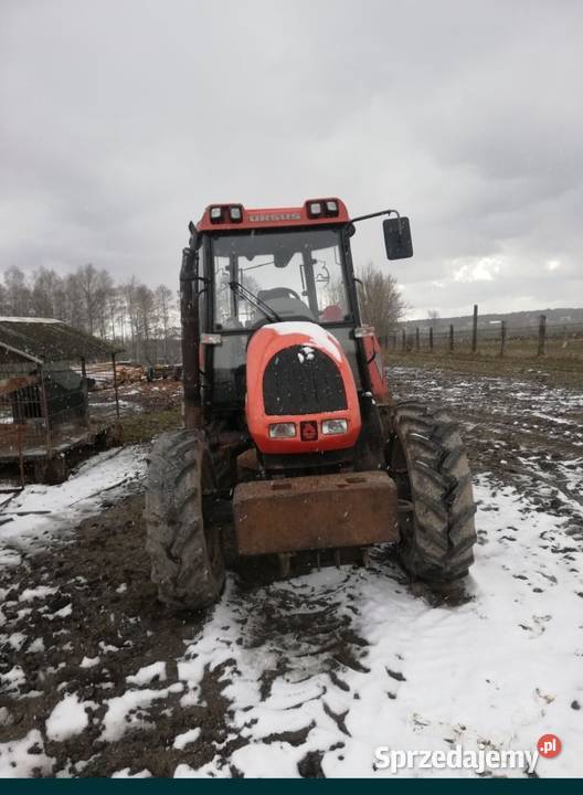 Ursus 5524 Radzyń Podlaski - Sprzedajemy.pl