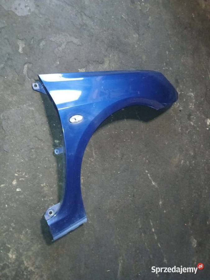 Błotnik prawy przedni Peugeot 307 lak EGED 01-04r Radłów - Sprzedajemy.pl