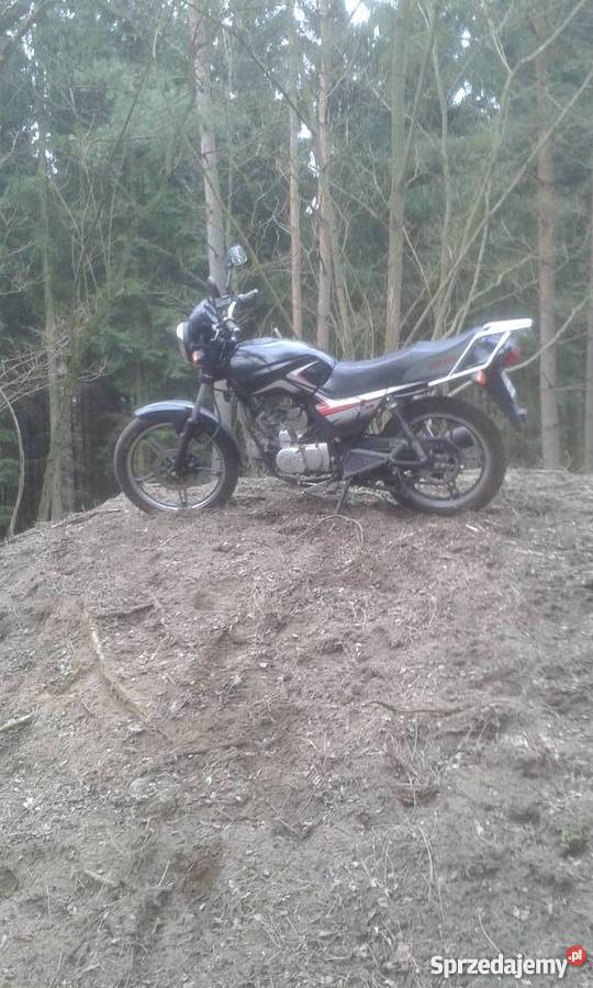 Romet Router WS 50 Modrzewo - Sprzedajemy.pl