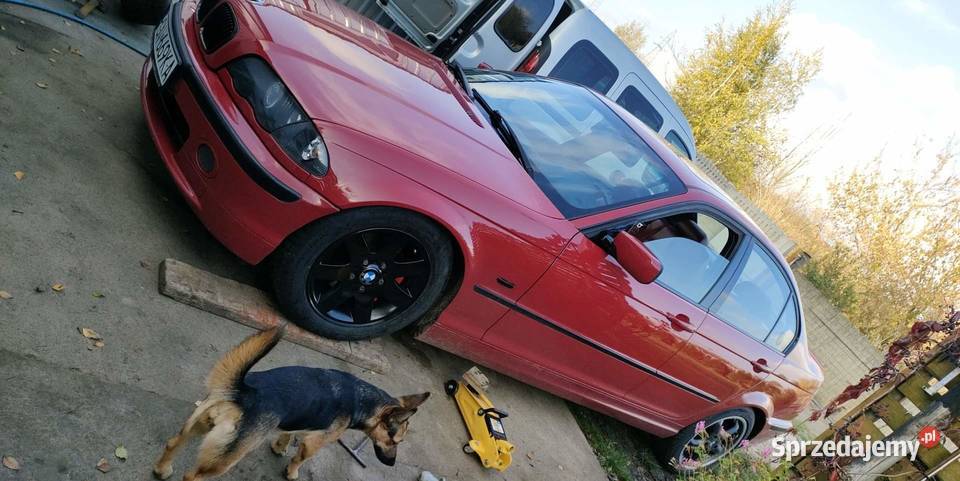 BMW E46 Individual imolarot2 Gniezno - Sprzedajemy.pl