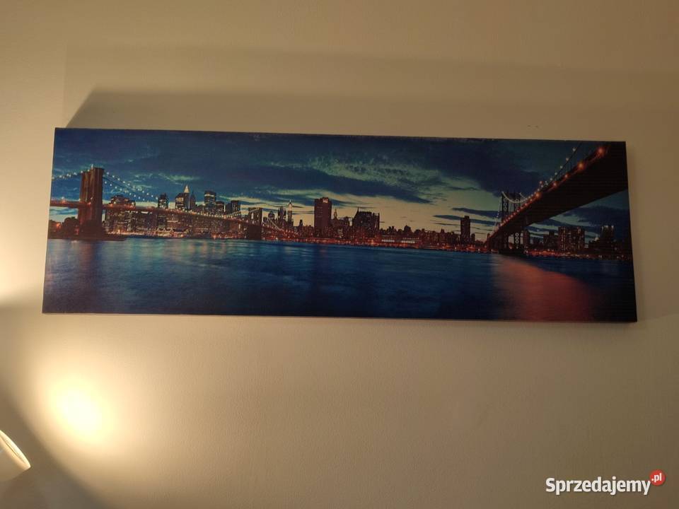 Obrazki Janod 2 String Art Jungle Animal To Make – Mimitoys.ie