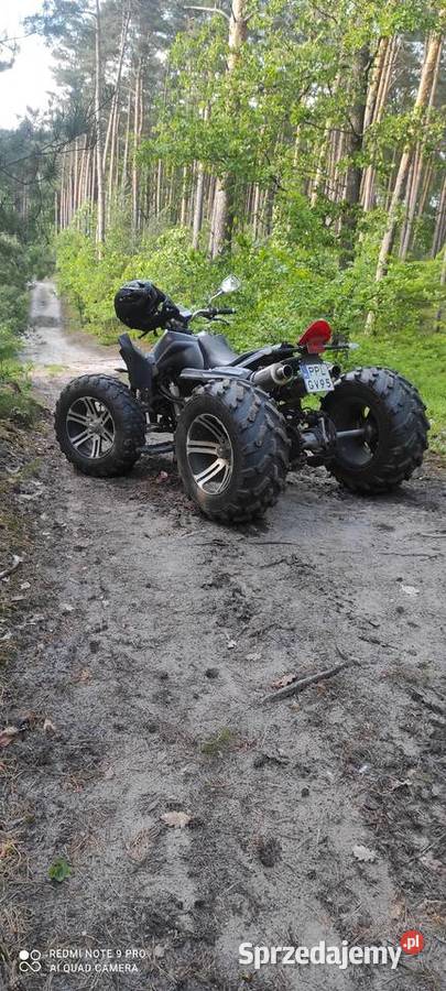 Jinling 250 Pleszew - Sprzedajemy.pl