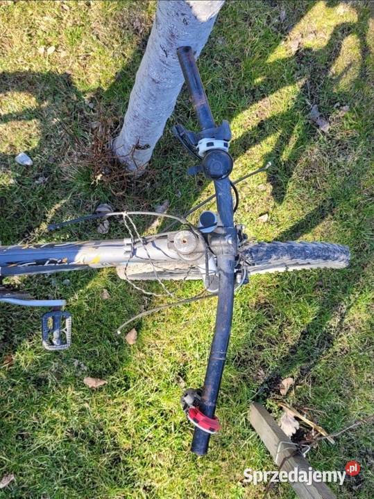 Rower Górski Giant GTX 24 cale – Solidny MTB dla dziecka Rzeszów ...