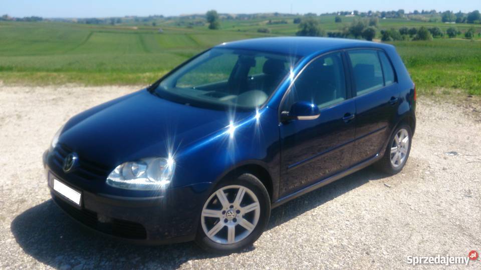 Volkswagen Golf V 2004 1.9 Tdi Kraków - Sprzedajemy.pl