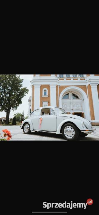 Samochód do ślubu Garbus oraz Fiat 125p Krotoszyn - Sprzedajemy.pl