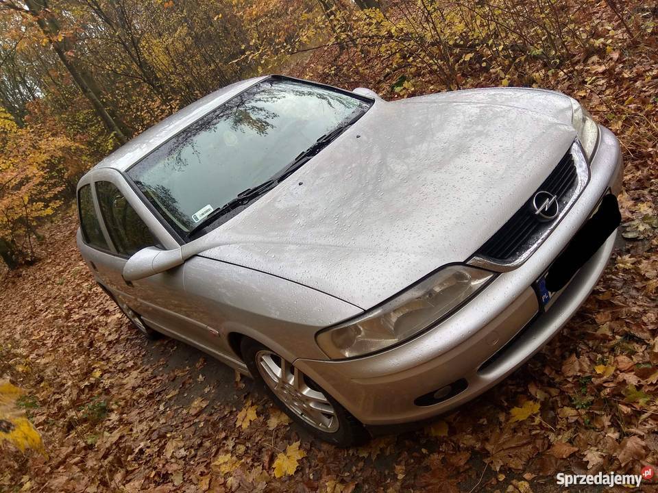 Opel Vectra 1.6 LPG Iława - Sprzedajemy.pl