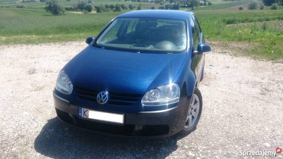 Volkswagen Golf V 2004 1.9 Tdi Kraków - Sprzedajemy.pl
