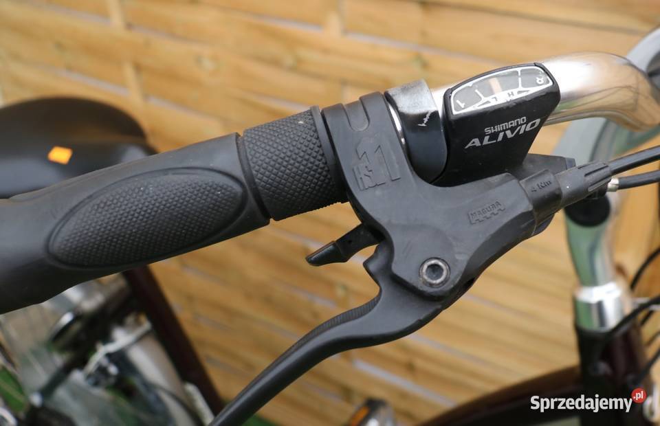 Rower elektryczny Sparta ION GLS D 53 I inne rowery z Holand Milanówek ...