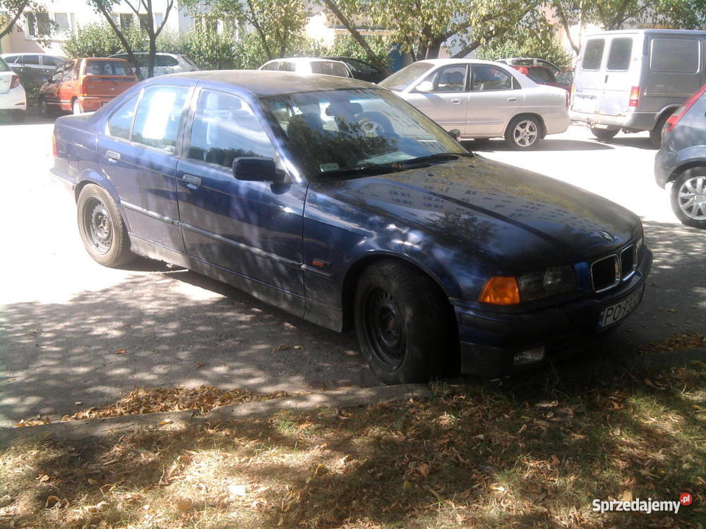 BMW e36 325 TDS - Sprzedajemy.pl